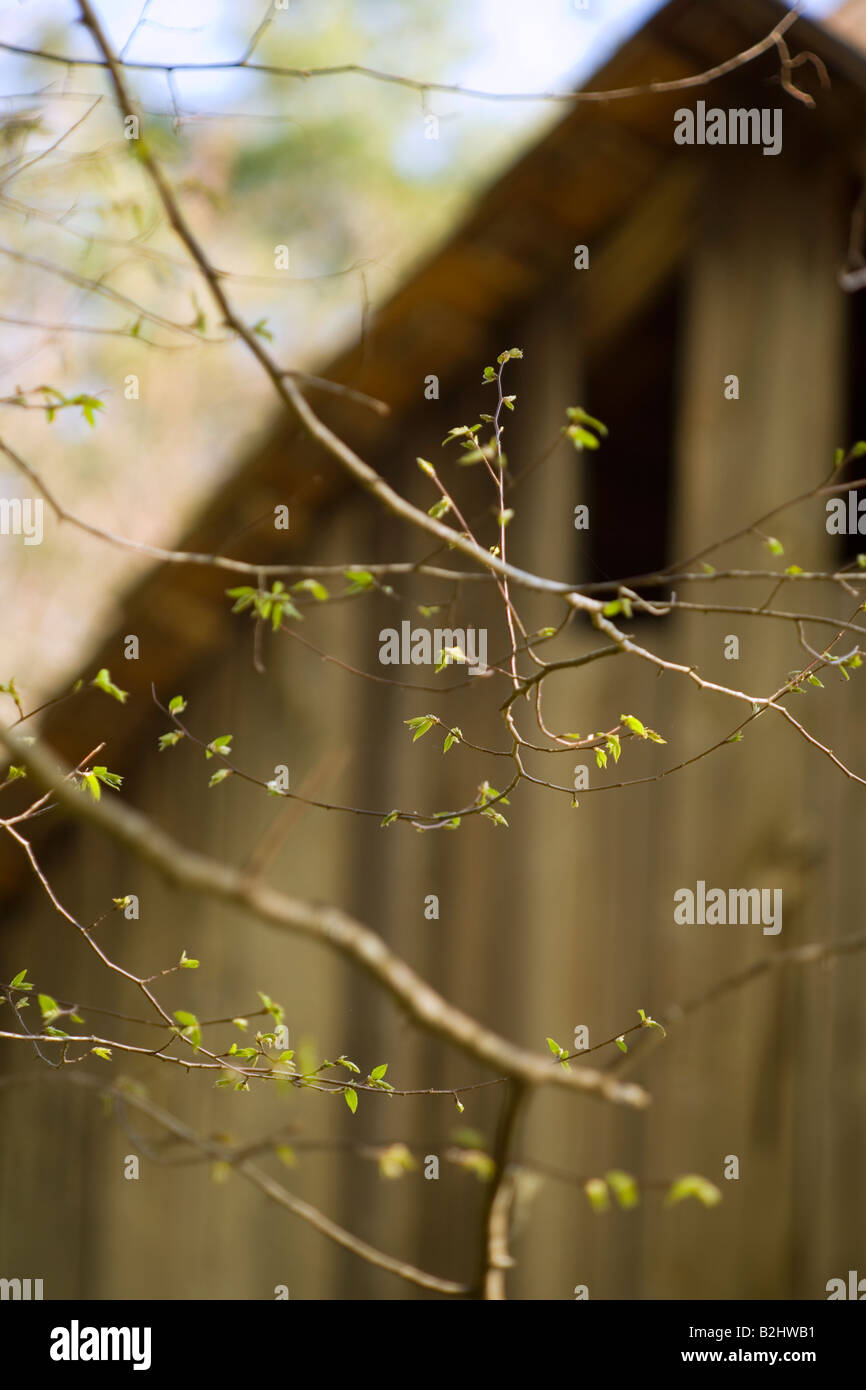Spring in Cades Cove in the Great Smoky Mountains National Park Stock ...