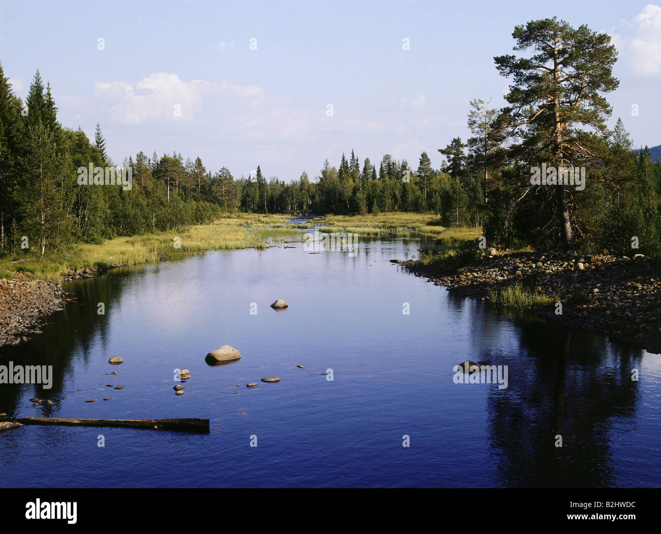 River elasjon hi-res stock photography and images - Alamy