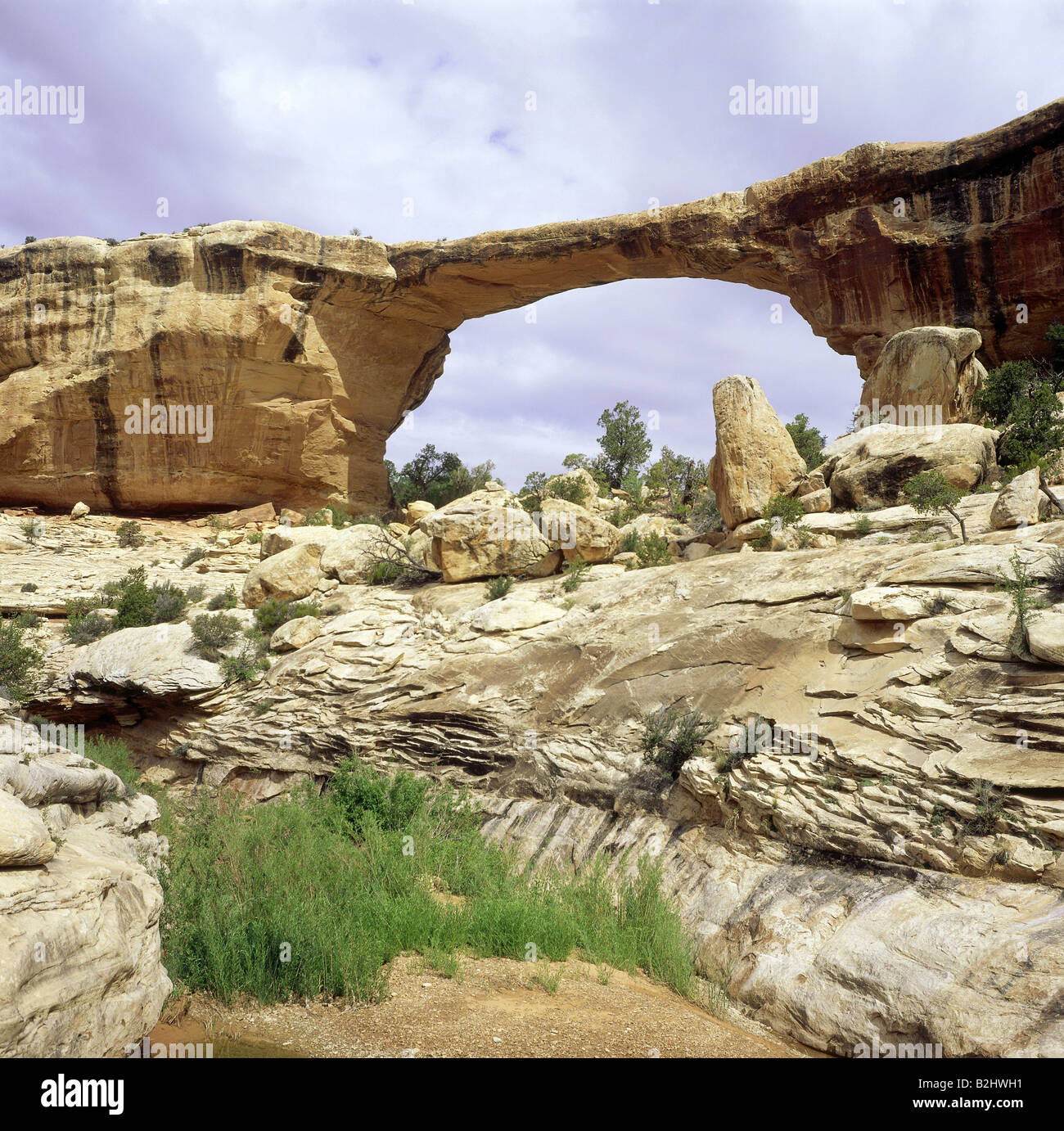 Bridges national park hi-res stock photography and images - Alamy