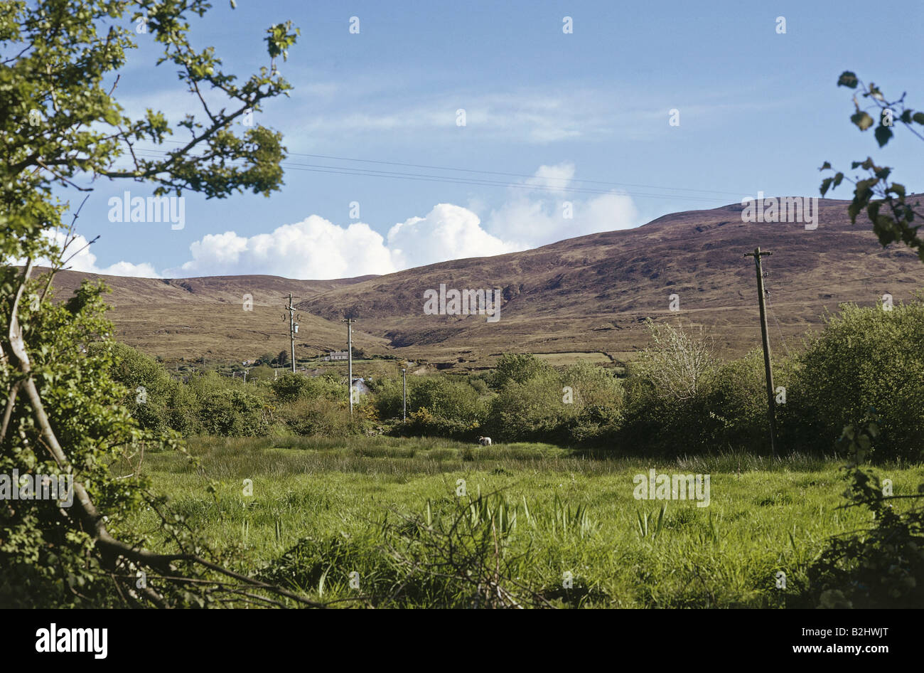 geography / travel: Ireland, County Kerry, countryside, Slieve Mish ...