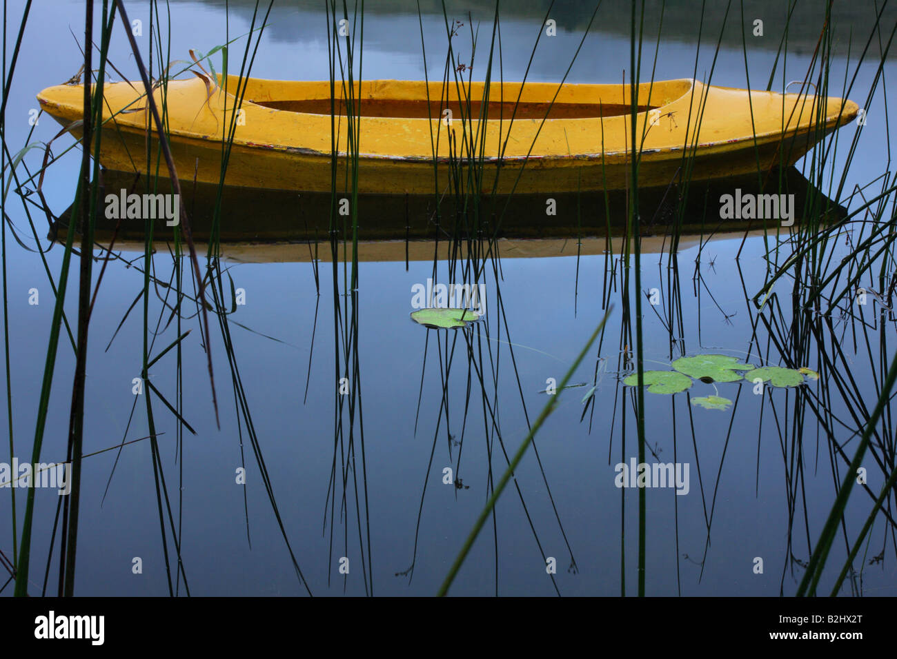 Abandoned canoe hi-res stock photography and images - Alamy
