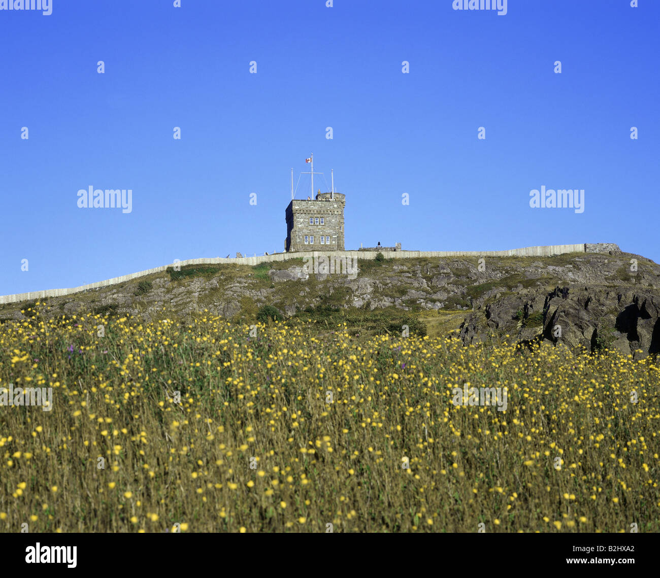 Newfoundland avalon peninsula hi-res stock photography and images - Alamy