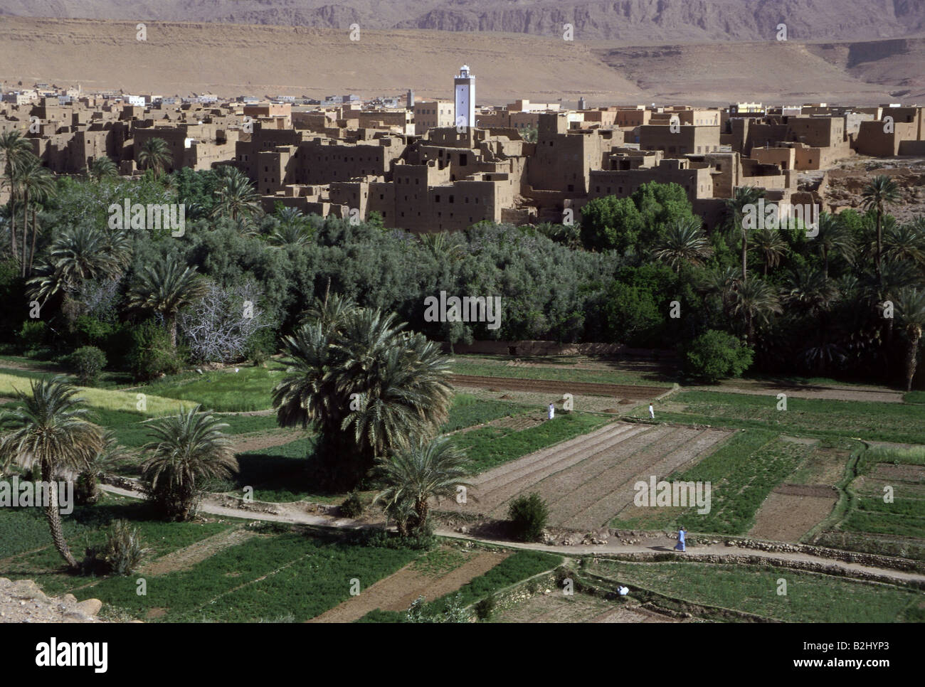 geography / travel, Morocco, Ait Ouaritane with oasis and gardens ...