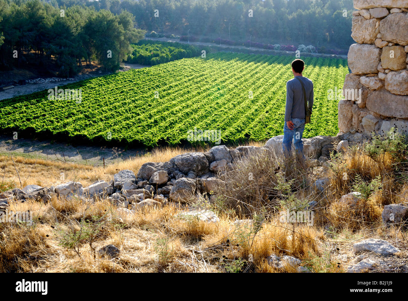 Israel Southern Coastal Plains Lachish Region Tel Lachish ...