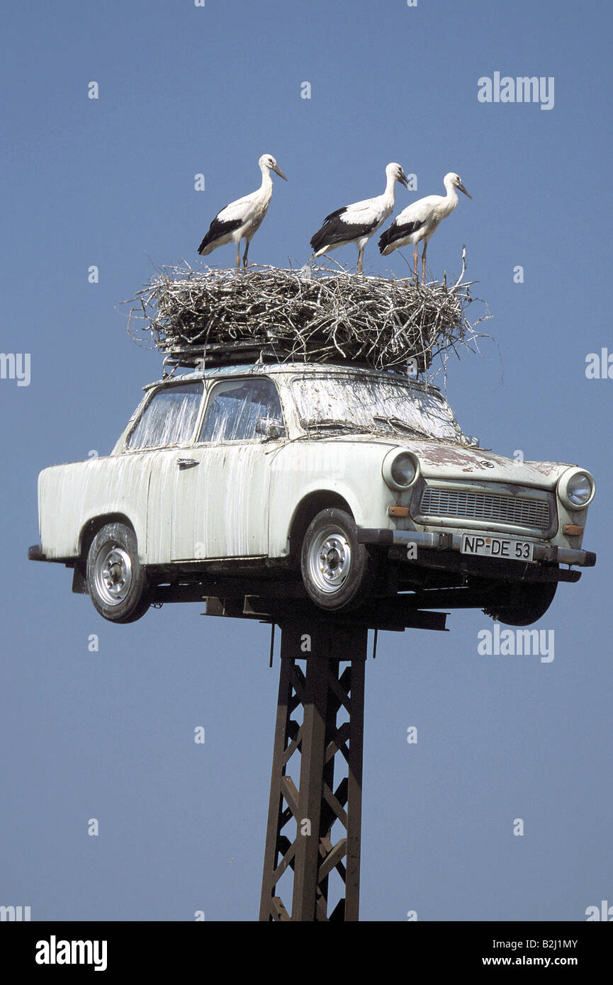 White stork on car in hi-res stock photography and images - Alamy