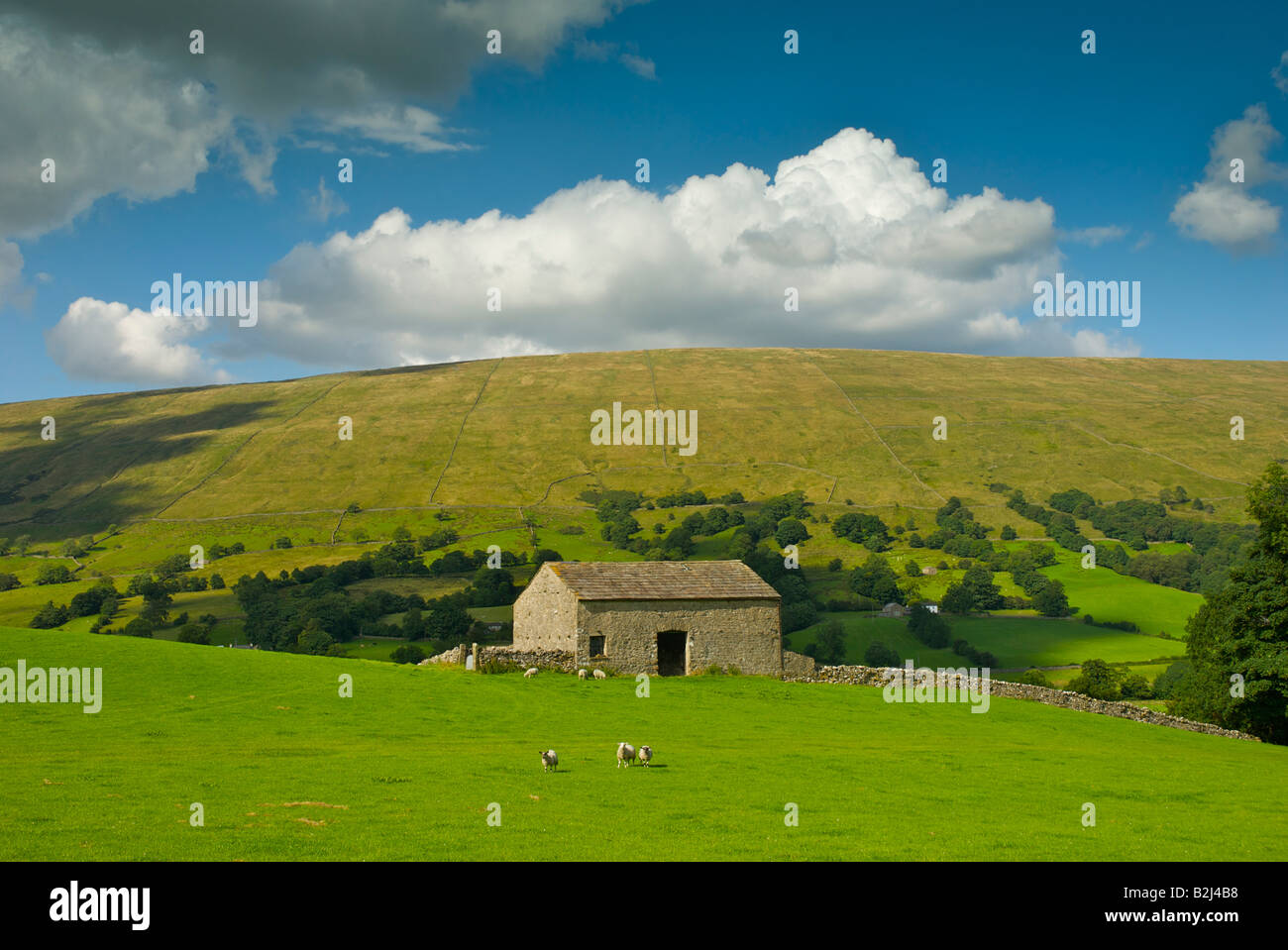 Field barn in Dentdale, Cumbria, Yorkshire Dales National Park, England ...