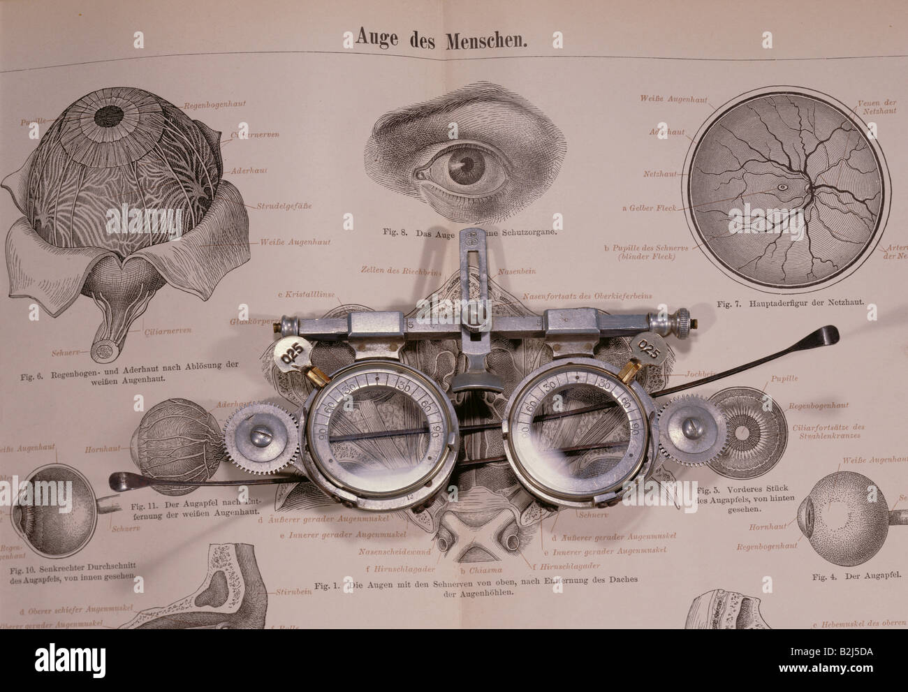 medicine, ophthalmology, two frames for measuring the strength of ...