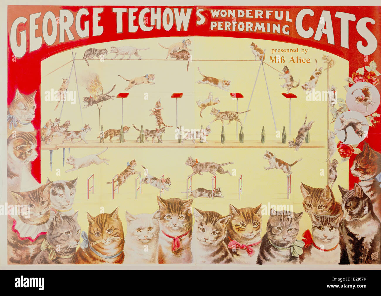 Techows hi-res stock photography and images - Alamy