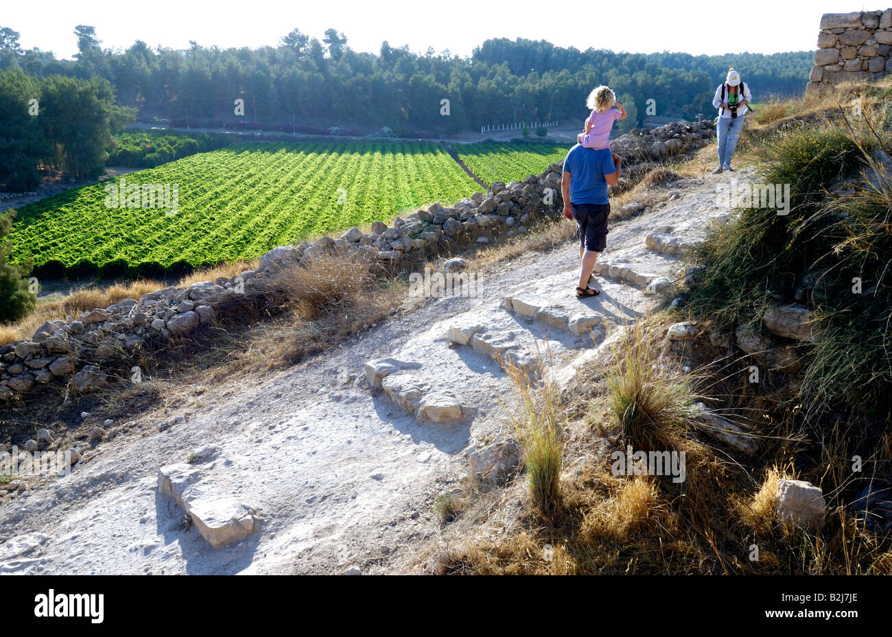 Israel Southern Coastal Plains Lachish Region Tel Lachish ...