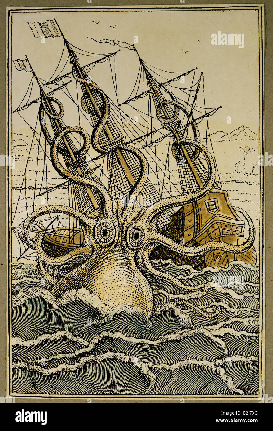 Giant squid hi-res stock photography and images - Alamy