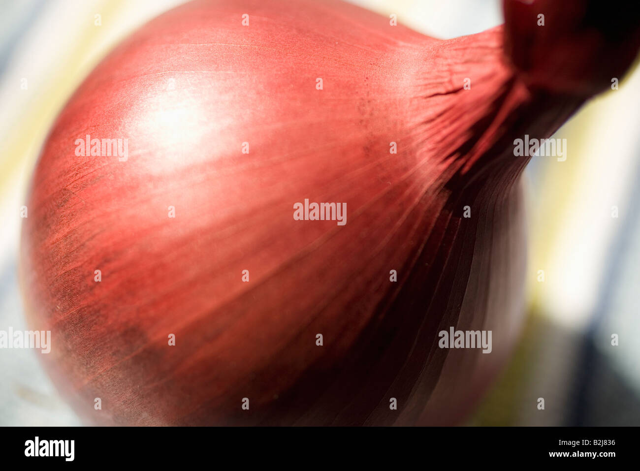 whole raw red onion Stock Photo - Alamy