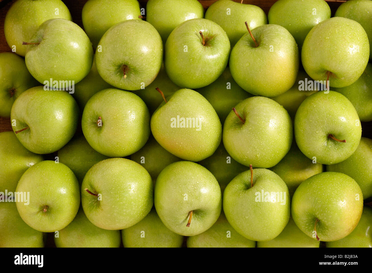 Lots of Apples Stock Photo - Alamy
