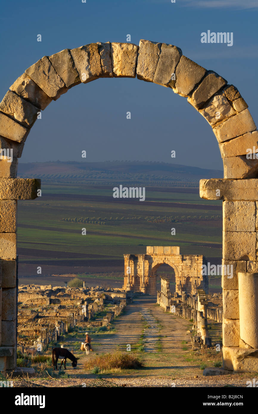 the Tangier Gate and Triumphal Arch with a farmer and his donkey in the ...
