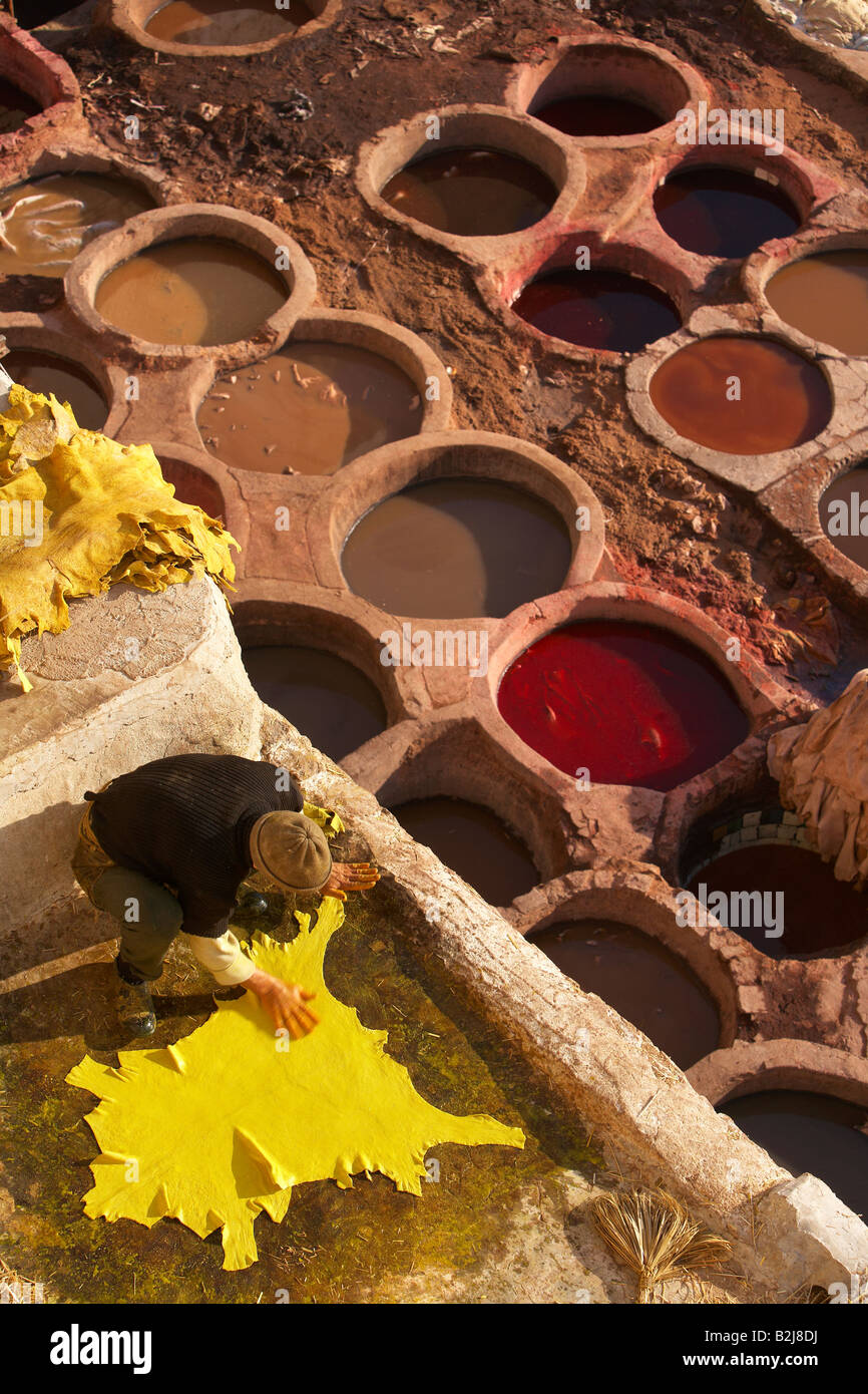 tanners dyeing and drying hides, the Tannery, Fes, Morocco Stock Photo ...