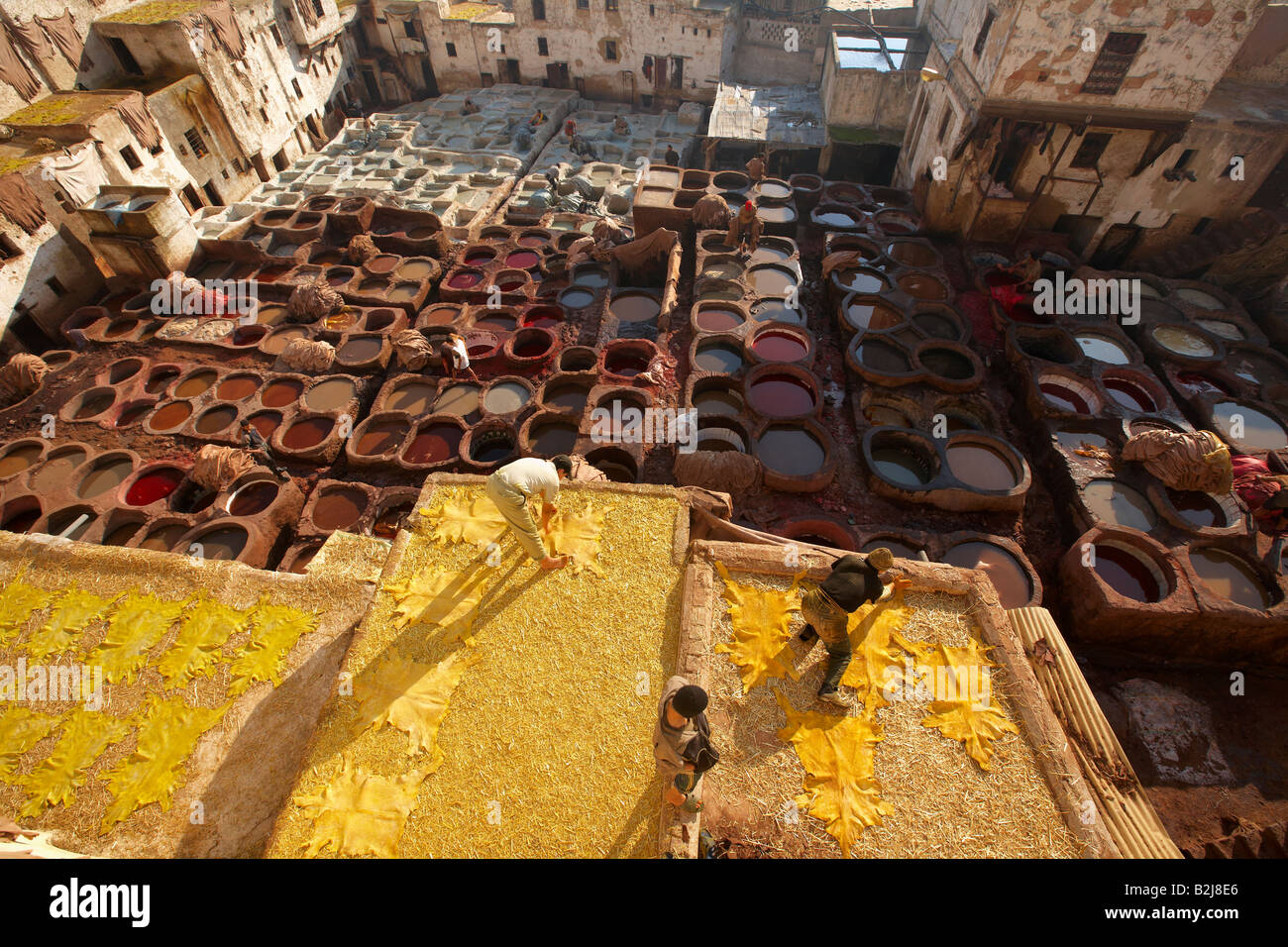tanners dyeing and drying hides, the Tannery, Fes, Morocco Stock Photo ...