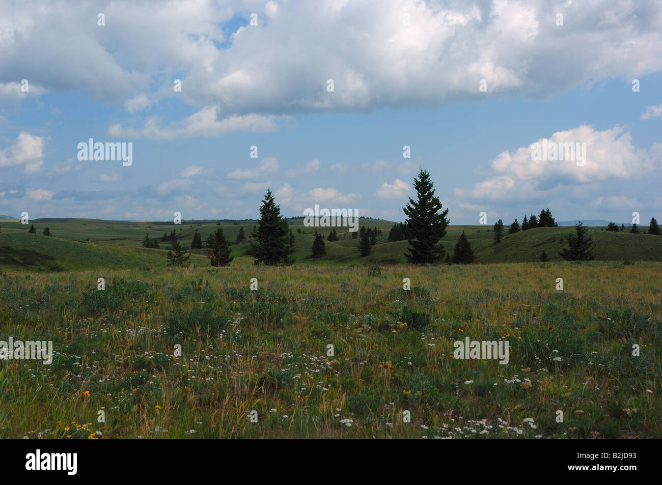 Grassland alberta hi-res stock photography and images - Alamy