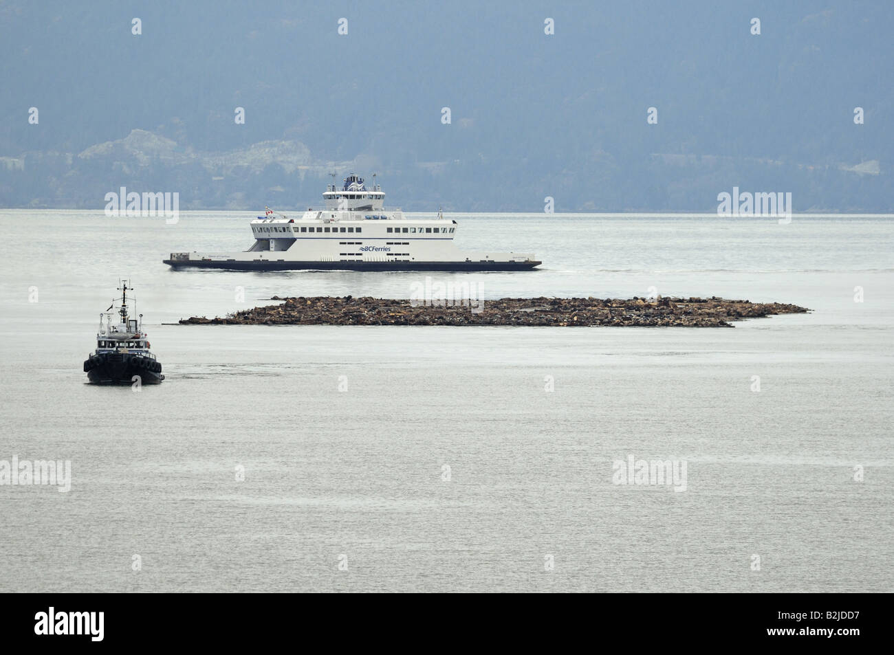 The Queen of Capilano Ferry and Logging Tugs sailing in the Georgia ...