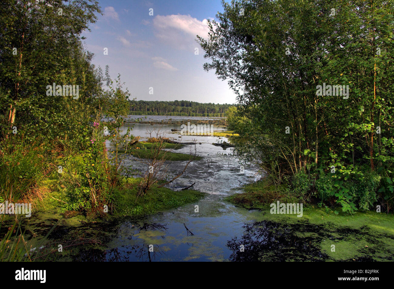Blakemere moss cheshire hi-res stock photography and images - Alamy