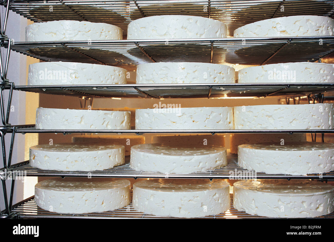 King of cheeses hi-res stock photography and images - Alamy