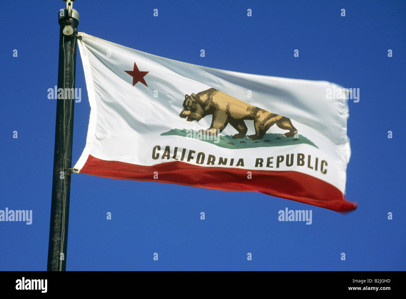 Flag Image of bear Lettering California republic STATE FLAG CALIFORNIA ...