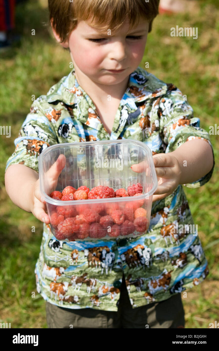 Young boy raspberry picking Stock Photo - Alamy