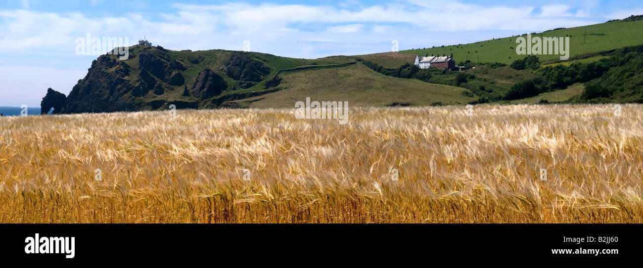 view from the south west devon coast path prawle point the south hams ...