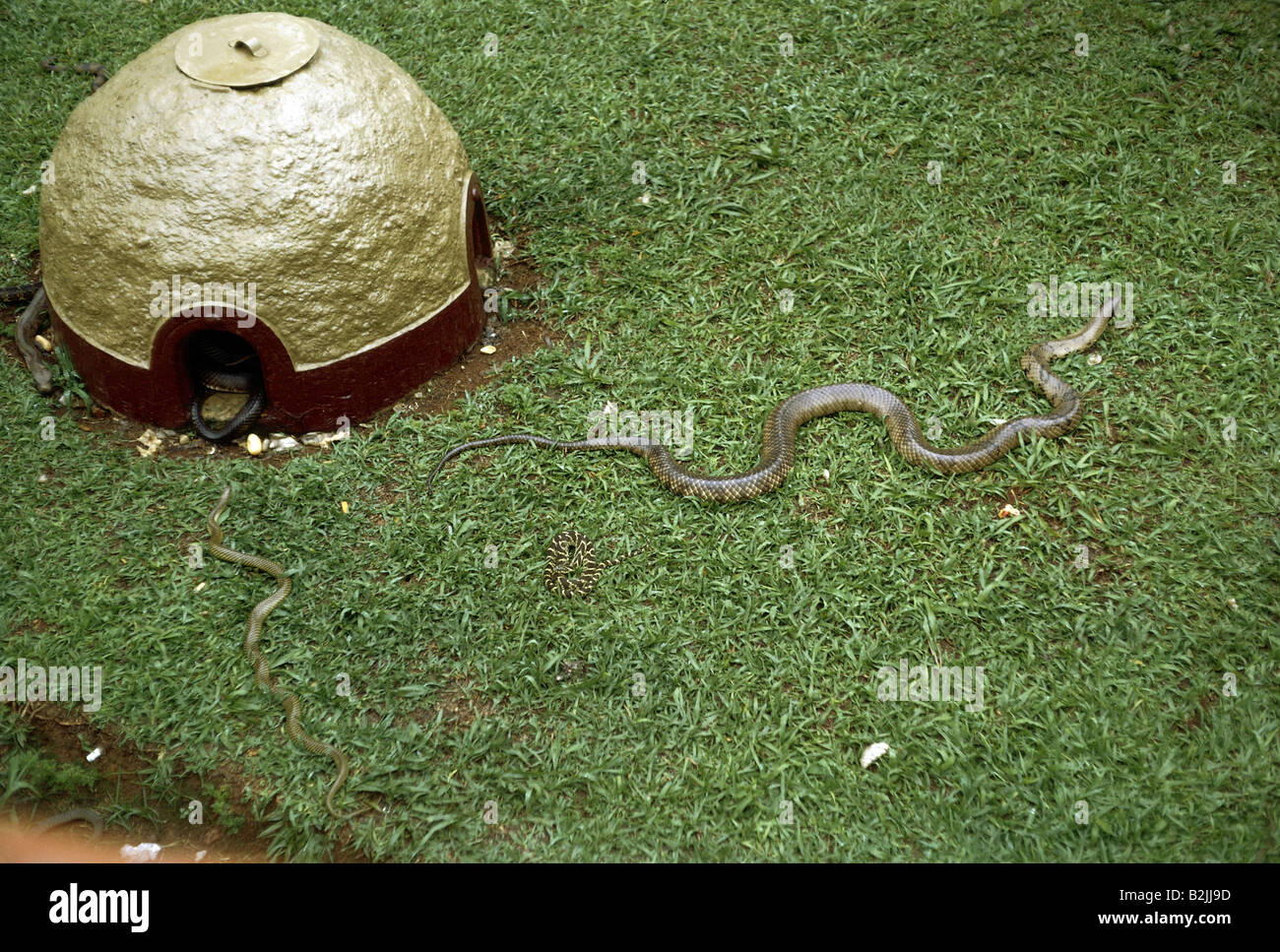 Brazil saint martin hi-res stock photography and images - Alamy