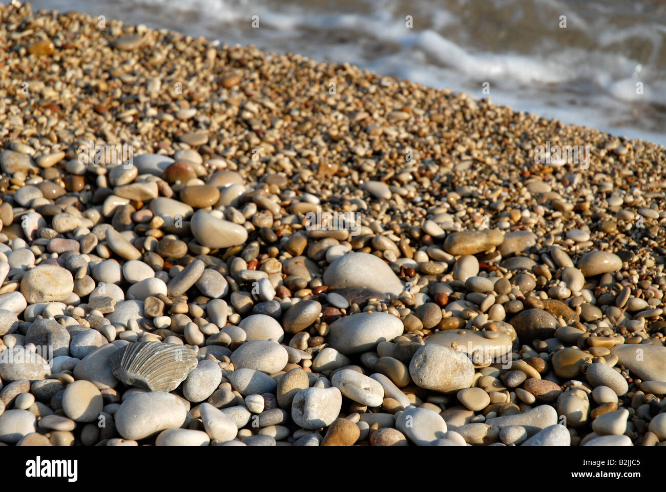 fossil of a seashell on a pebble beach, Javea / Xabia, Alicante ...