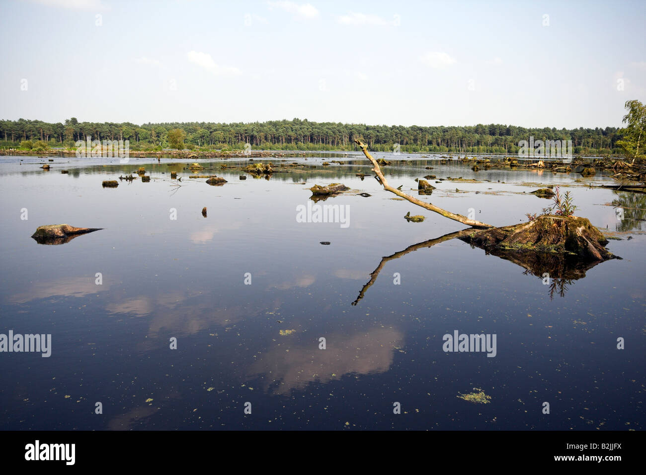 Blakemere hi-res stock photography and images - Alamy