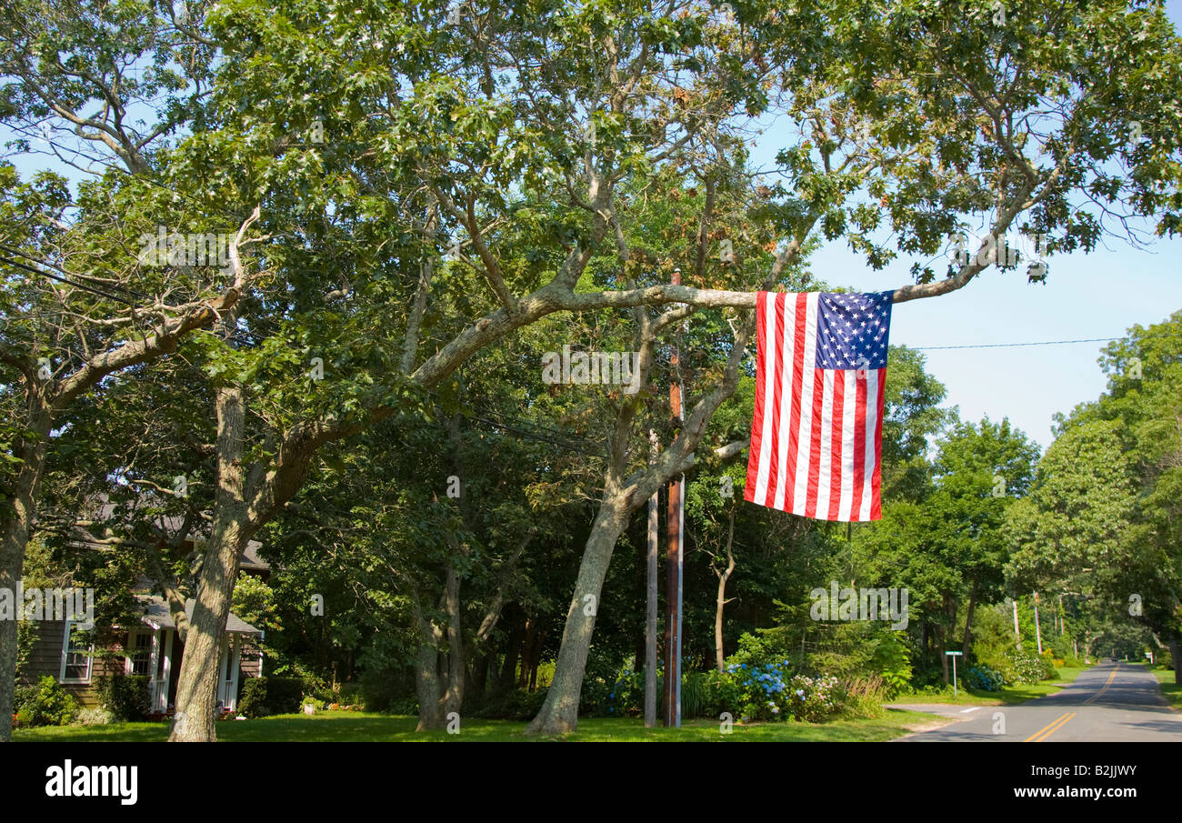 American flag hanging from a tree Stock Photo - Alamy