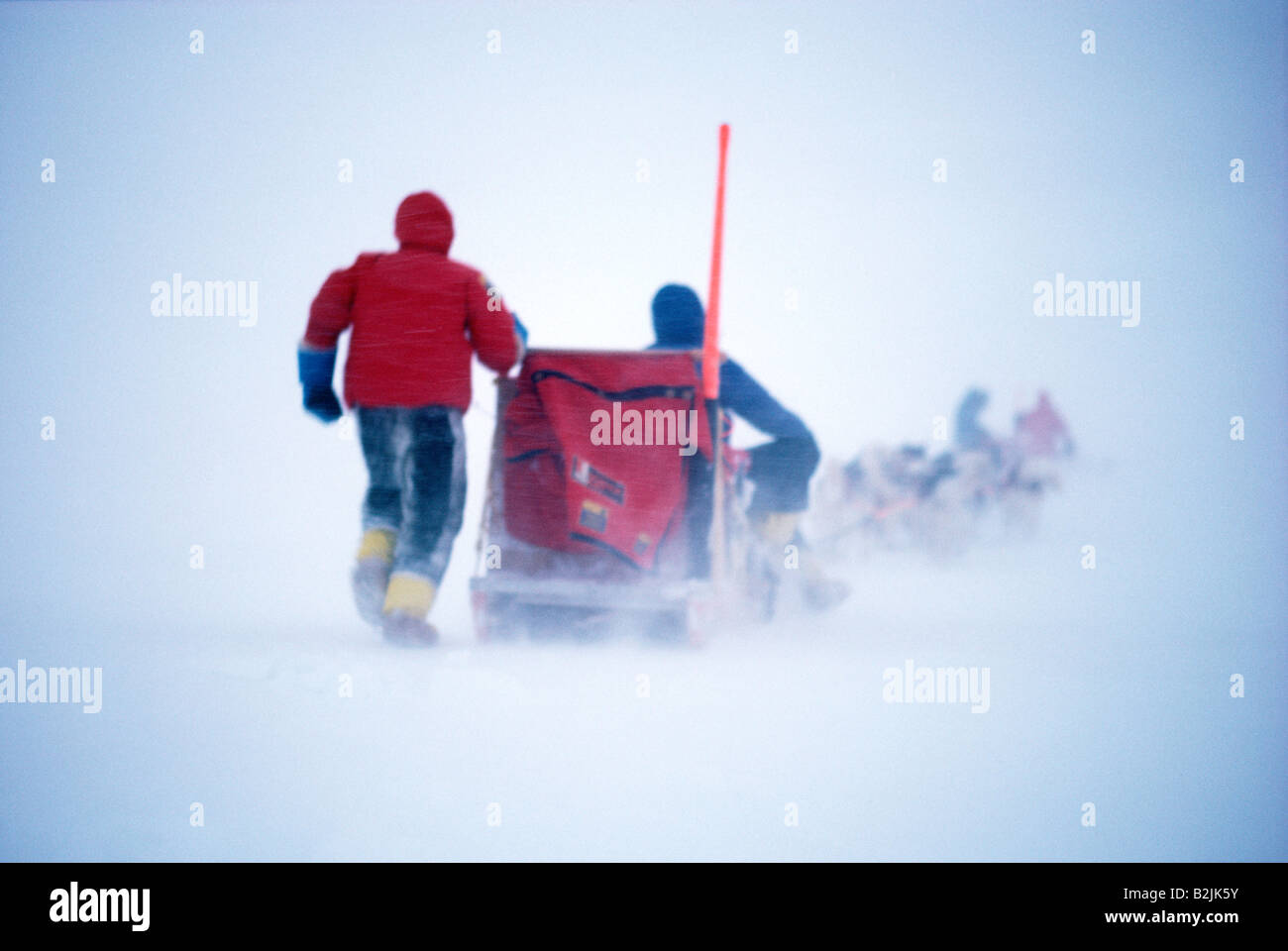 Arctic Explorers High Resolution Stock Photography and Images - Alamy