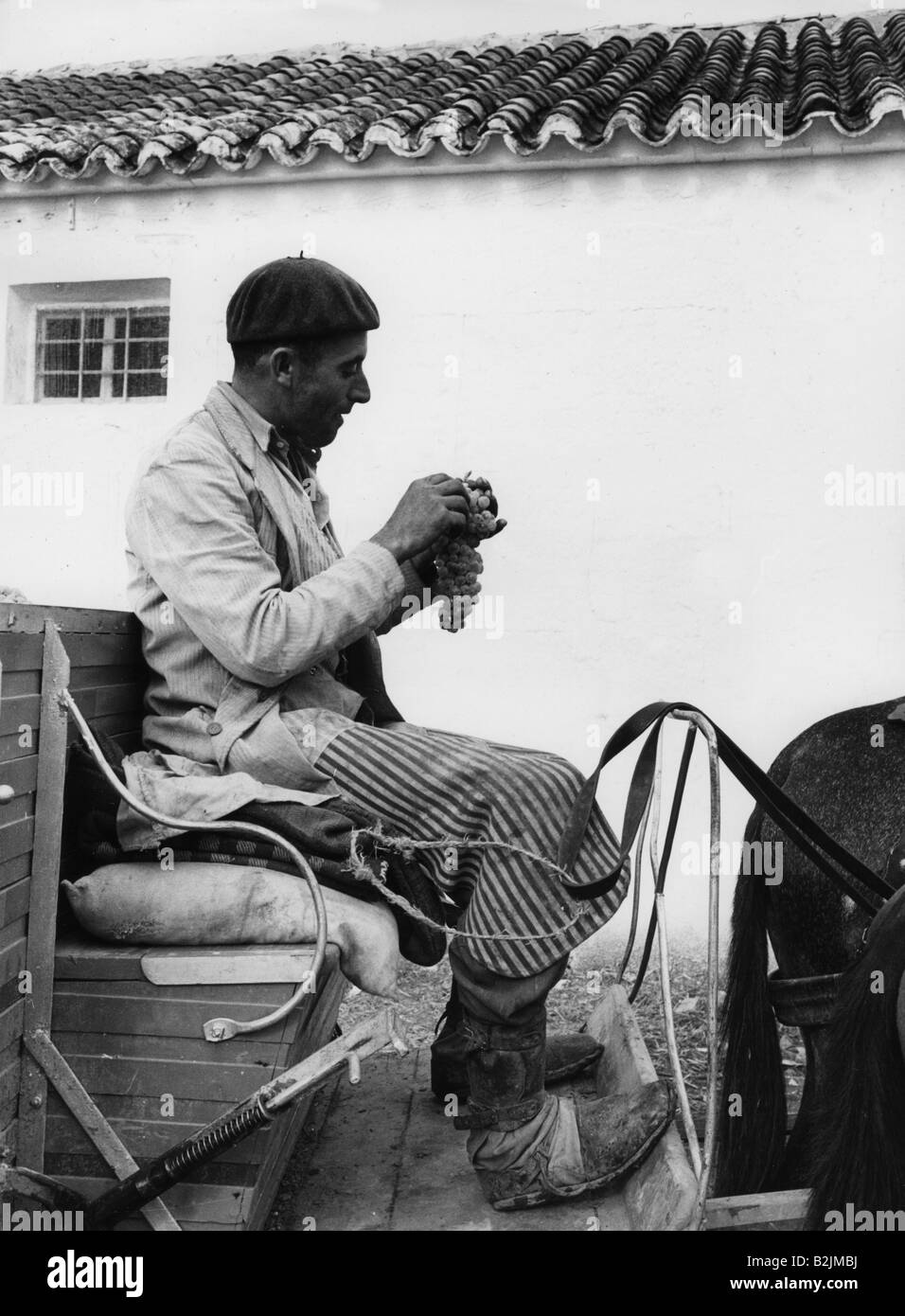 geography / travel, Spain, people, men, man on a horse cart, Bodega ...