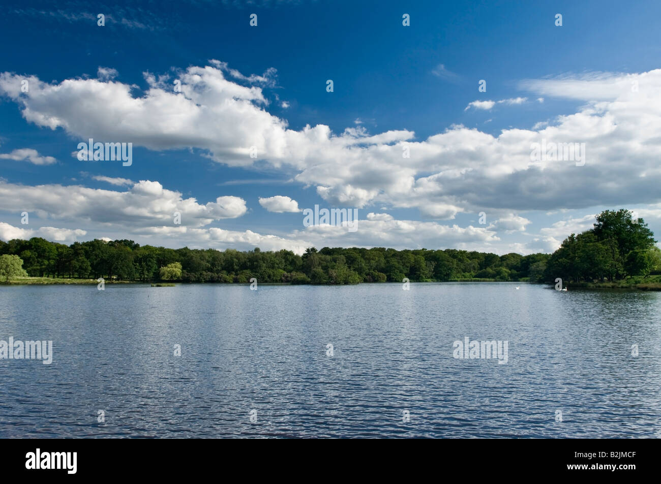 Pen pond in richmond park hi-res stock photography and images - Alamy