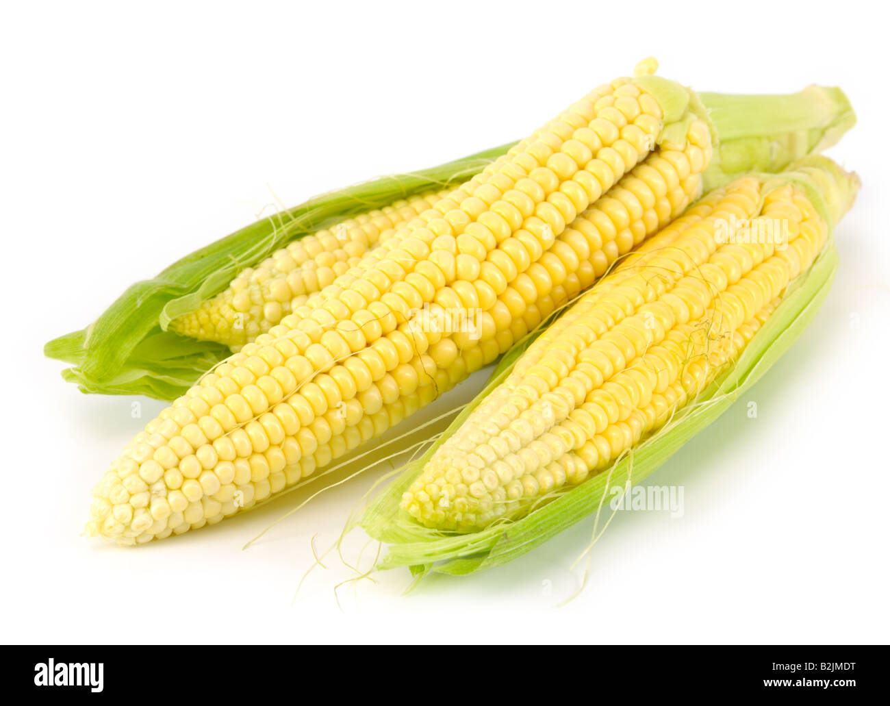 Fresh corn cob husk on hi-res stock photography and images - Alamy