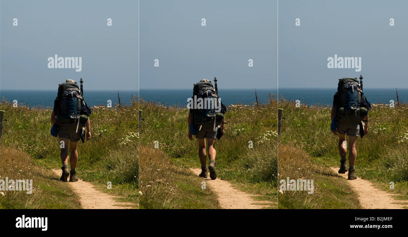 middle aged walker on footpath walking south west coast path devon ...