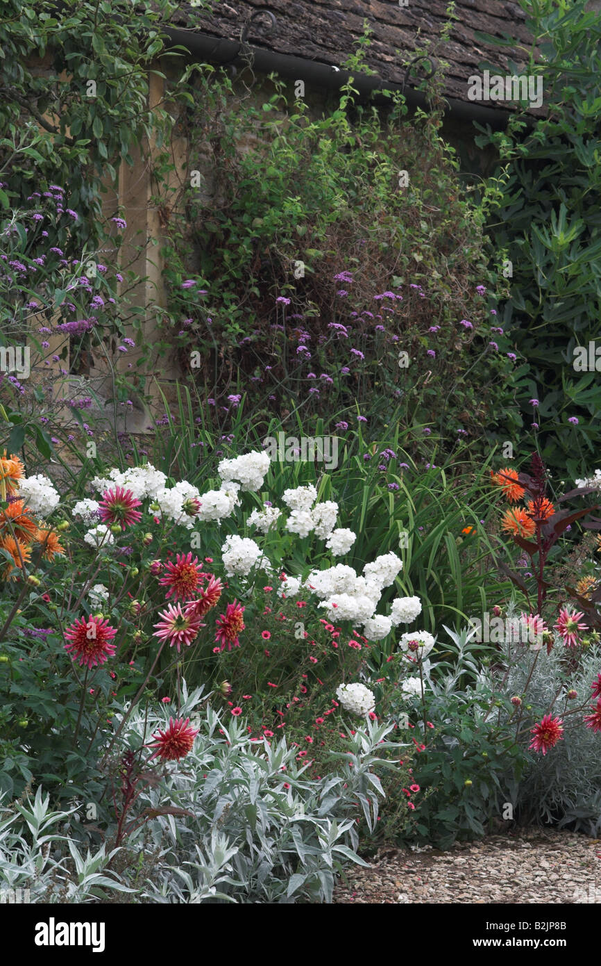 Mixed colourful summer border Stock Photo - Alamy