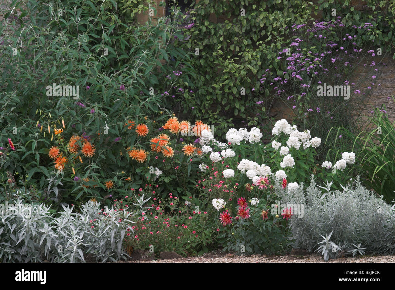 Mixed colourful summer border Stock Photo - Alamy
