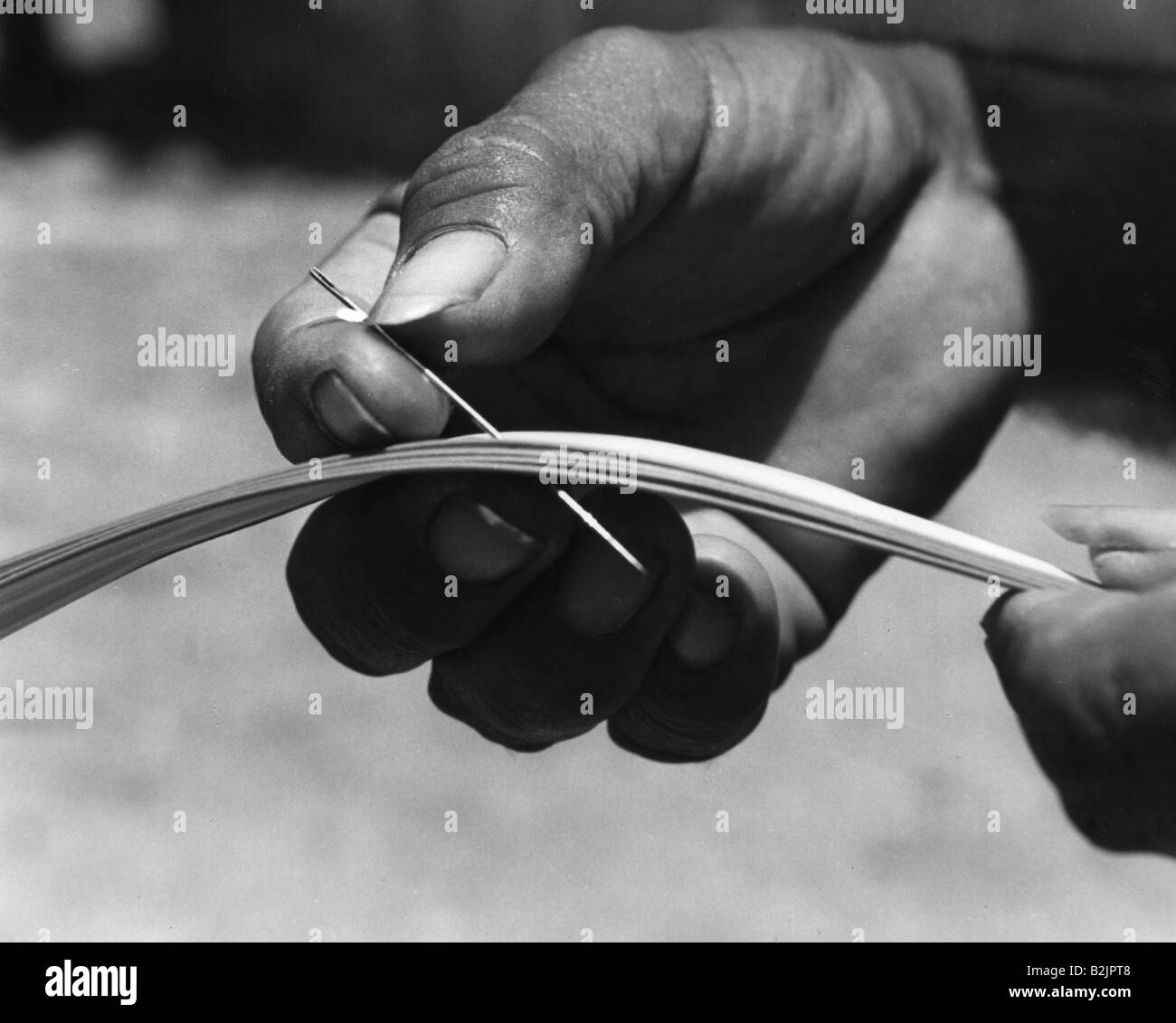 geography / travel, Mexico, handcraft, leaves of jipi palm are splitted ...
