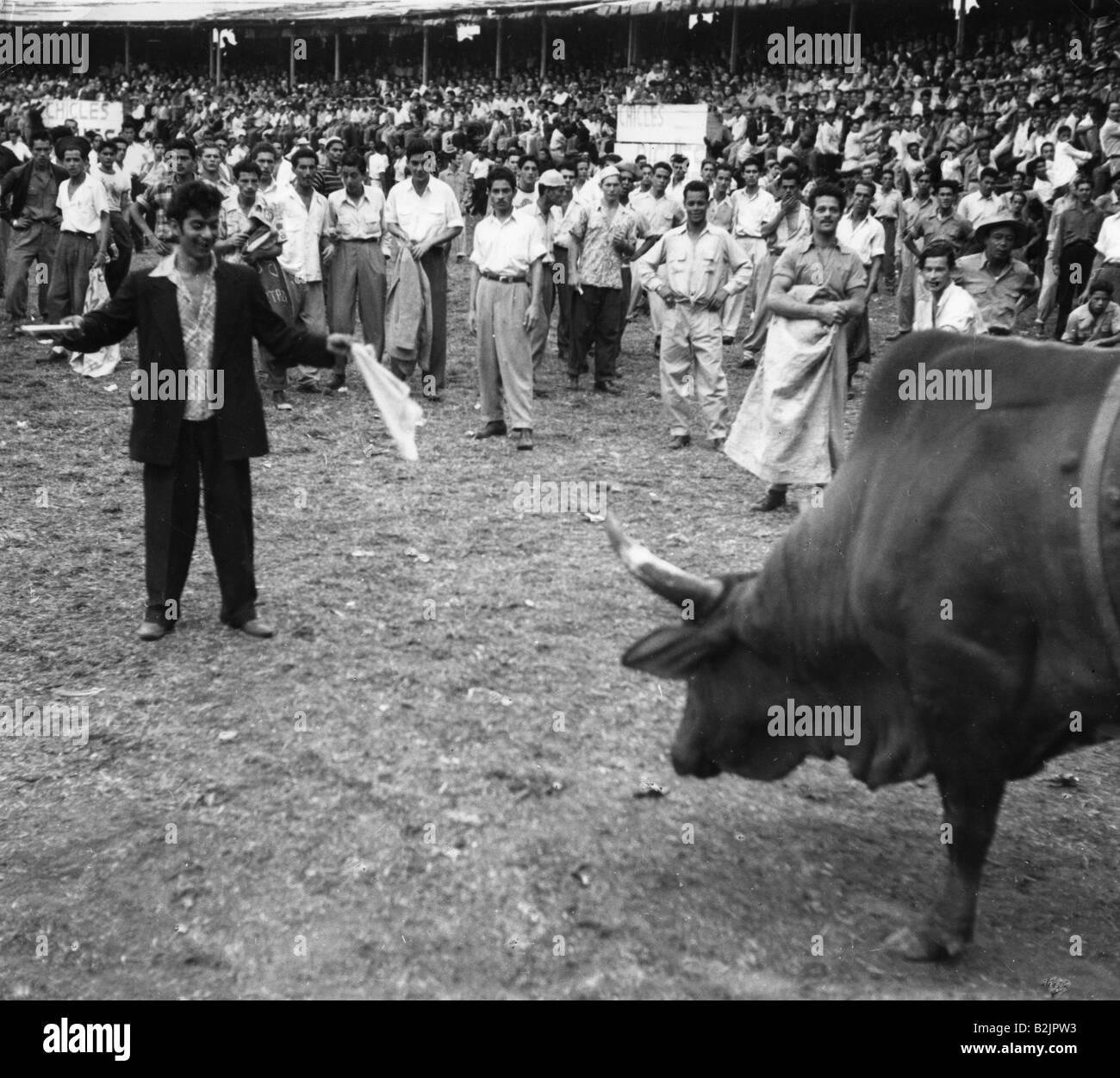 geography / travel, Costa Rica, tradition / folklore, bullfight, men ...