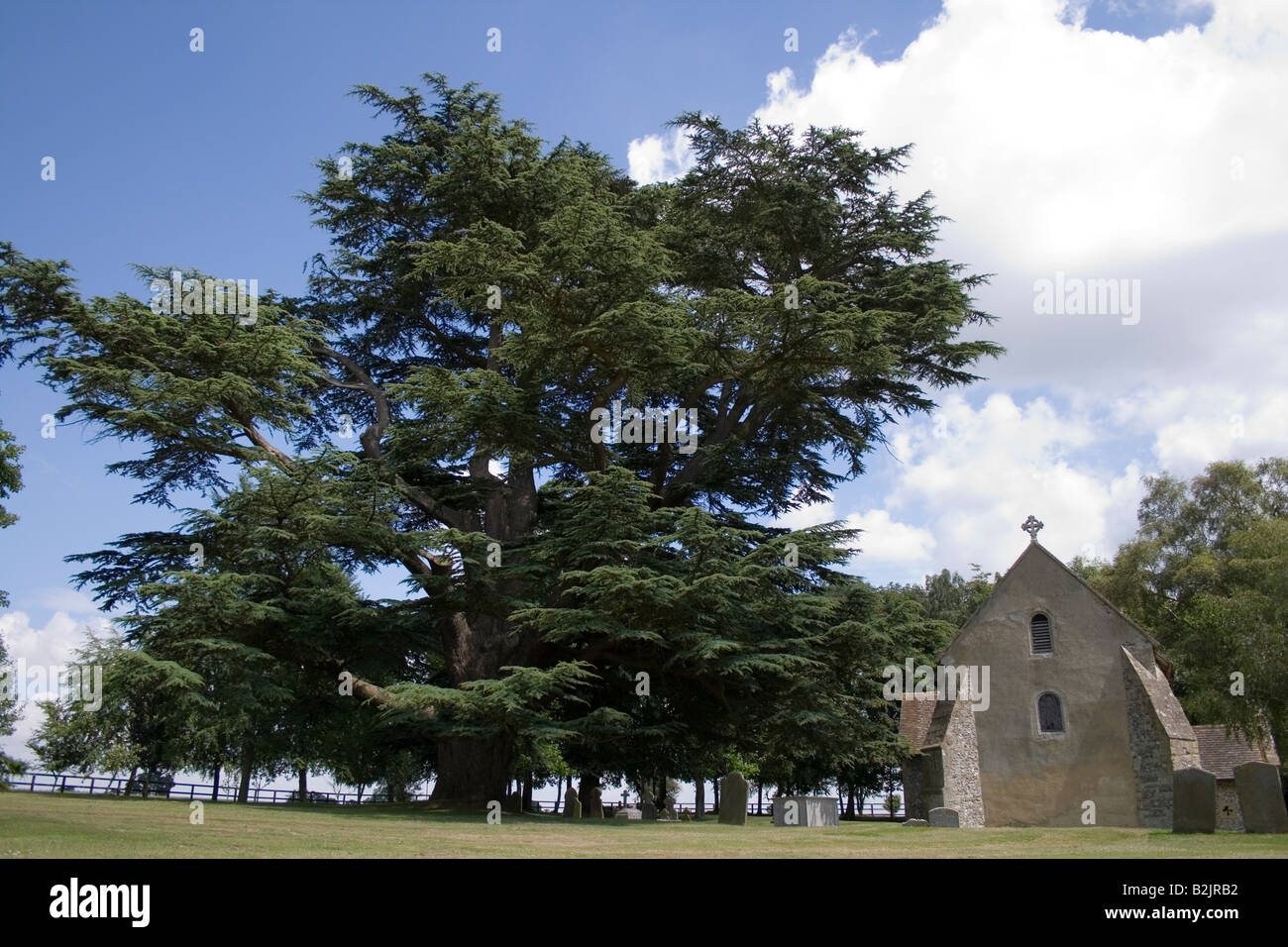 Avington Church under Big tree Stock Photo - Alamy