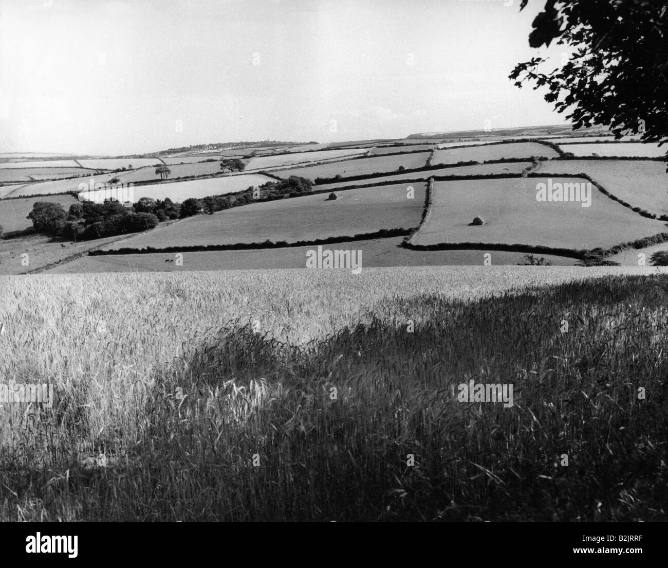 Britain agriculture hi-res stock photography and images - Alamy