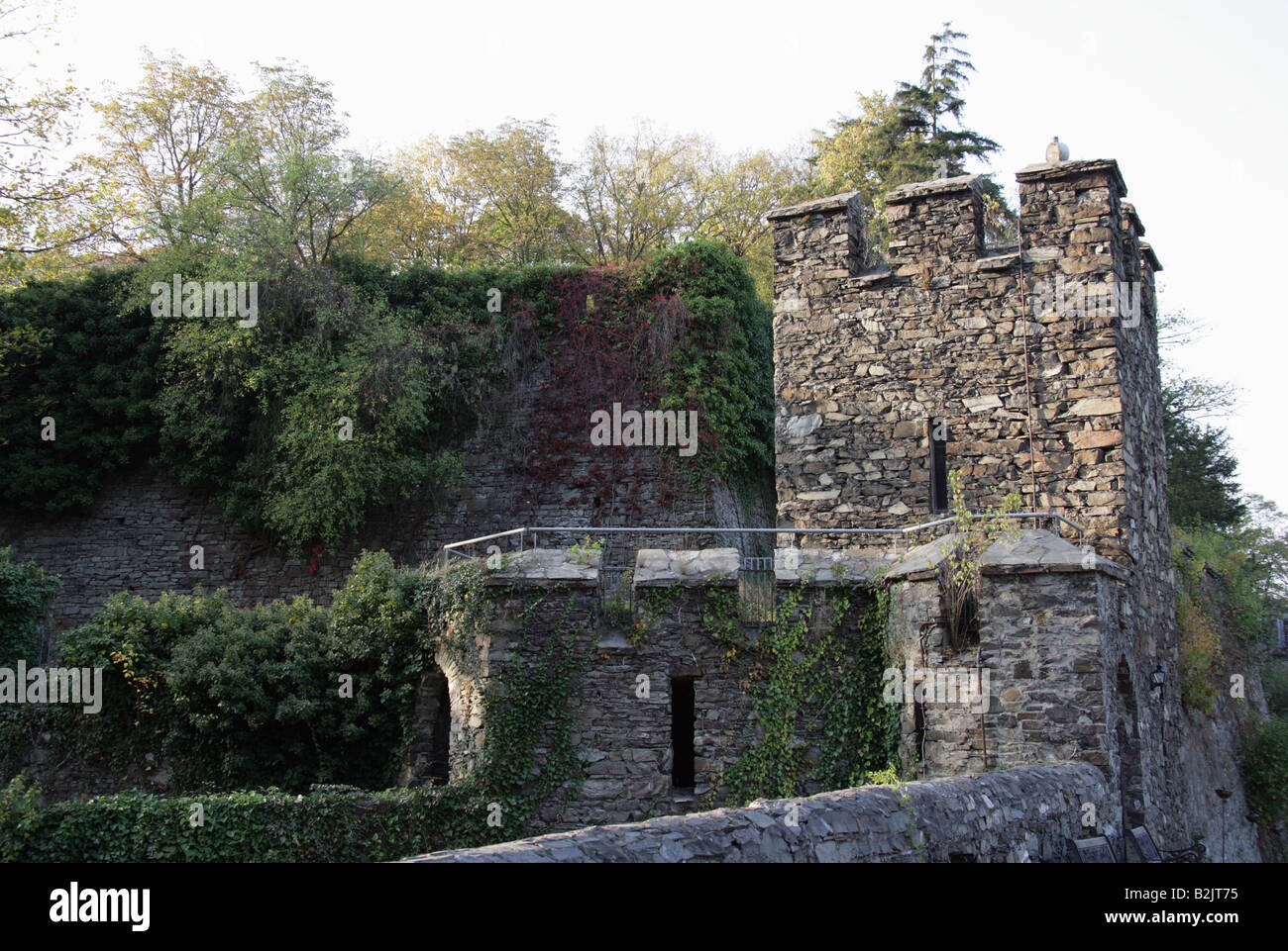 architecture, castles, Germany, Rhinland-Palatinate, Reichenstein ...