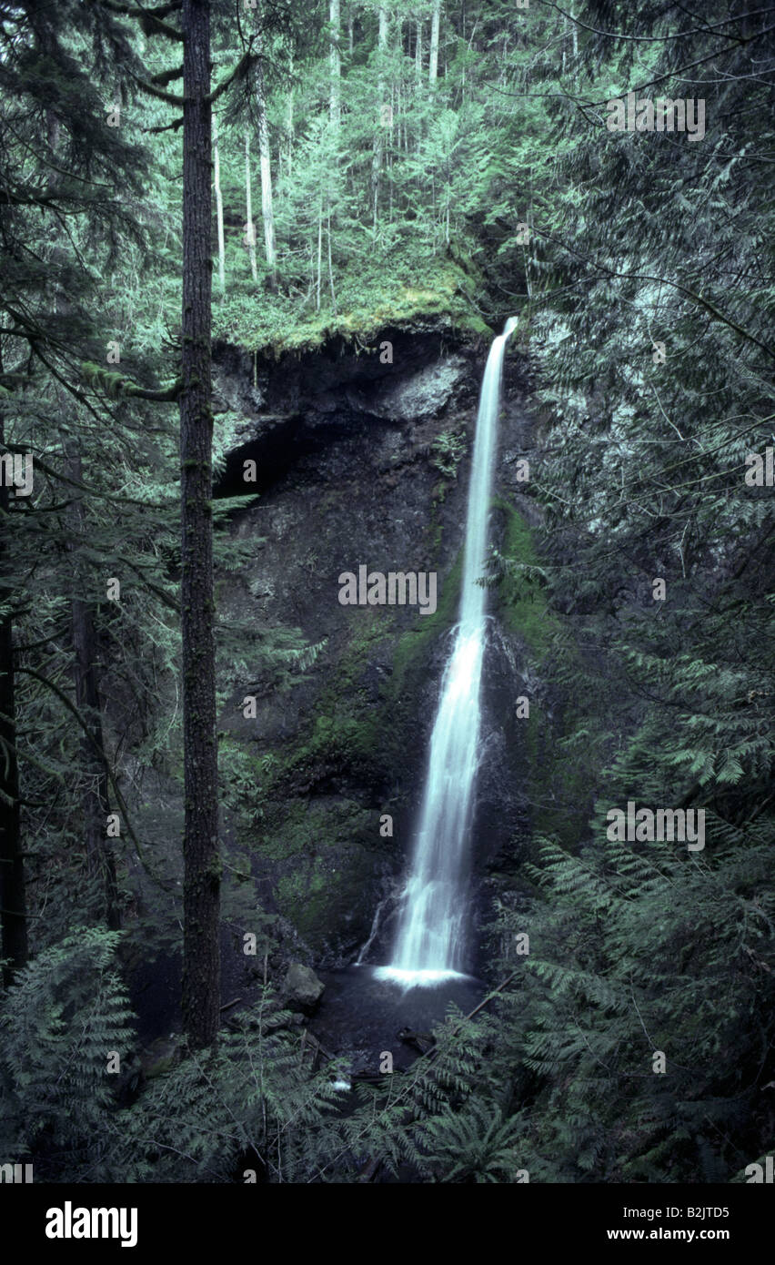 Marymere Falls is a waterfall located in the Olympic National Park near ...