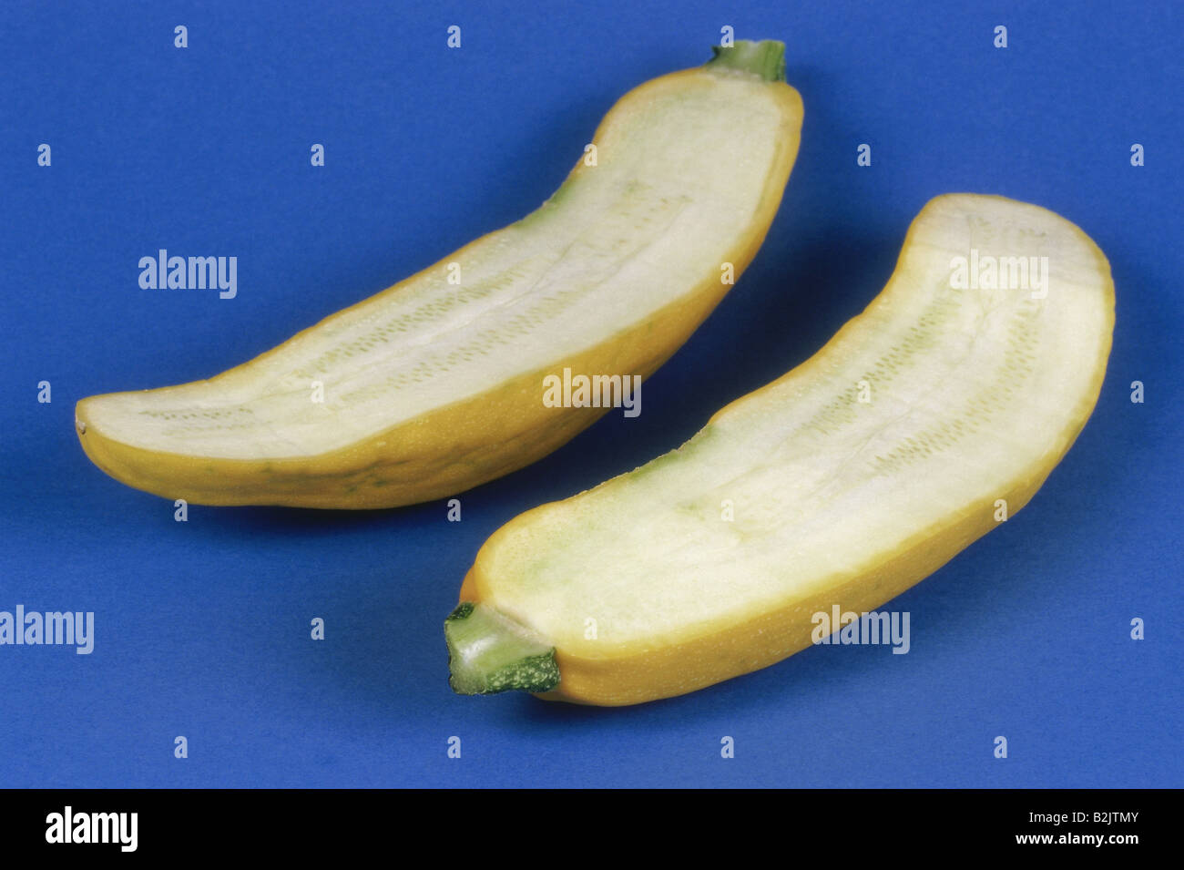botany, pumpkin, "Yellow summer squash" (Cucurbita pepo), open fruit ...