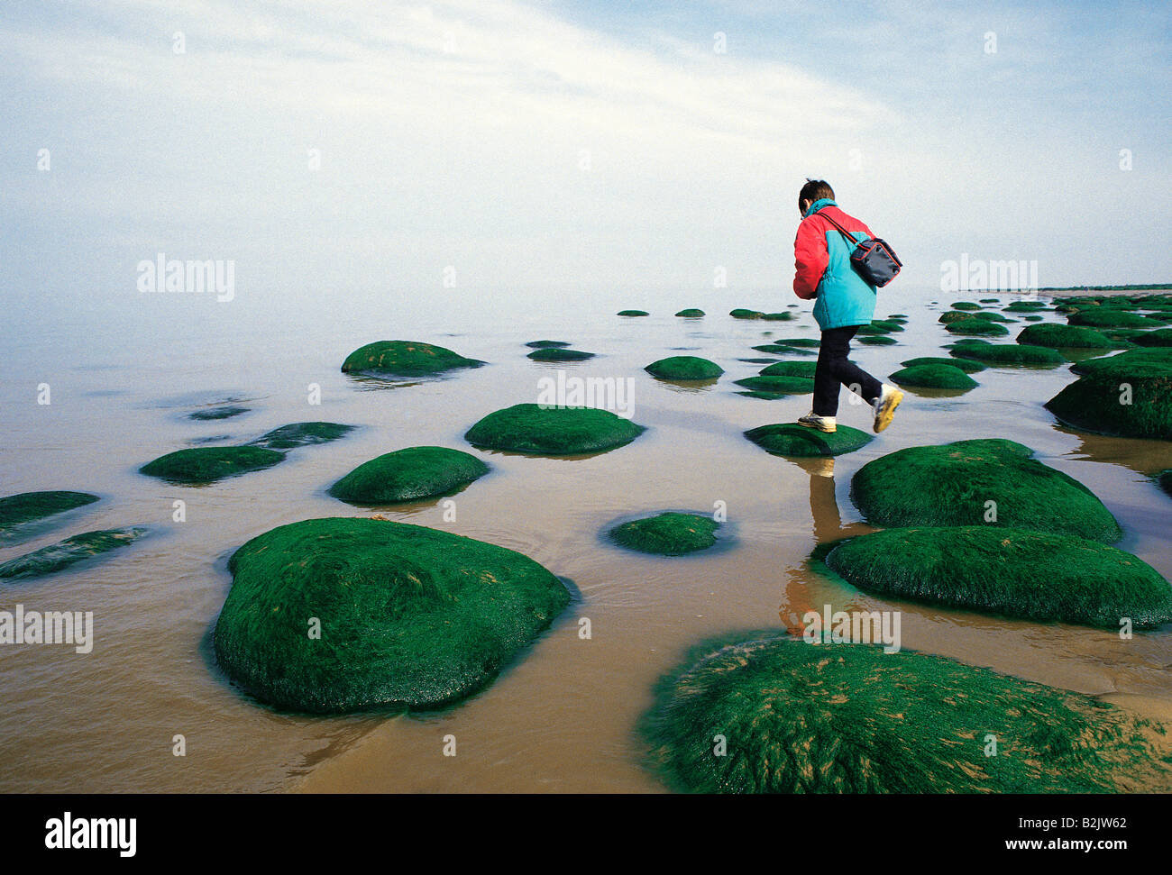 Child Stepping Stones High Resolution Stock Photography and Images - Alamy