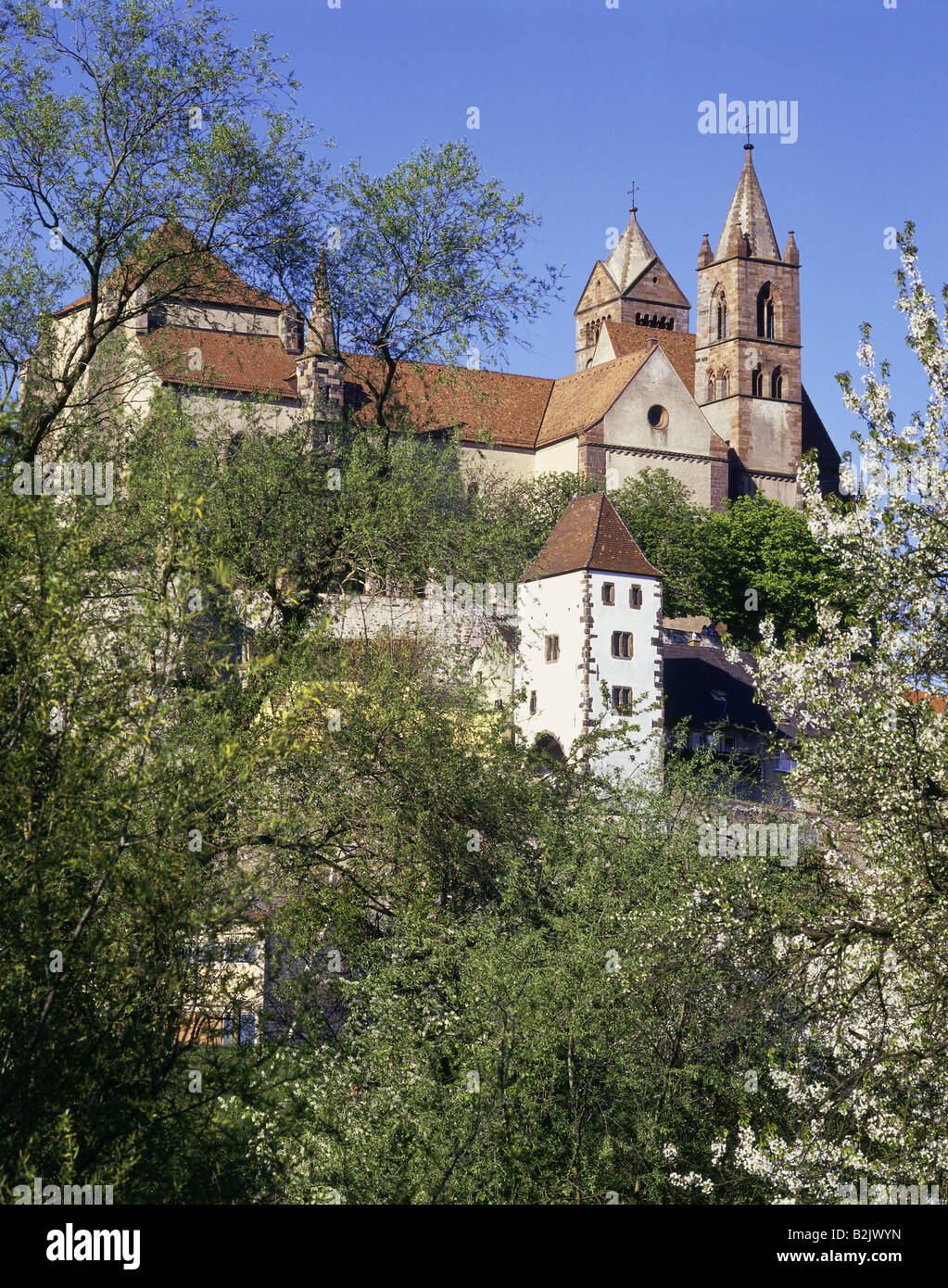 geography / travel, Germany, Baden-Wuerttemberg, Breisach on the Rhine ...