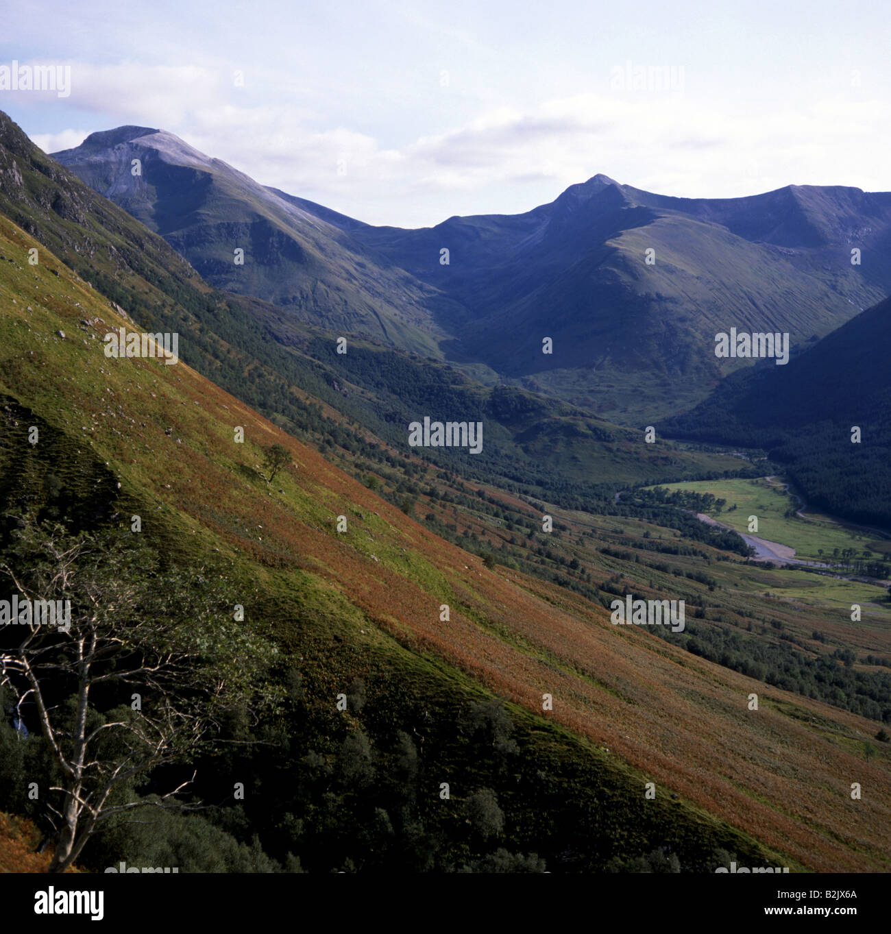 The Mamores viewed from the slopes of Ben Nevis Glen Nevis Fort William ...
