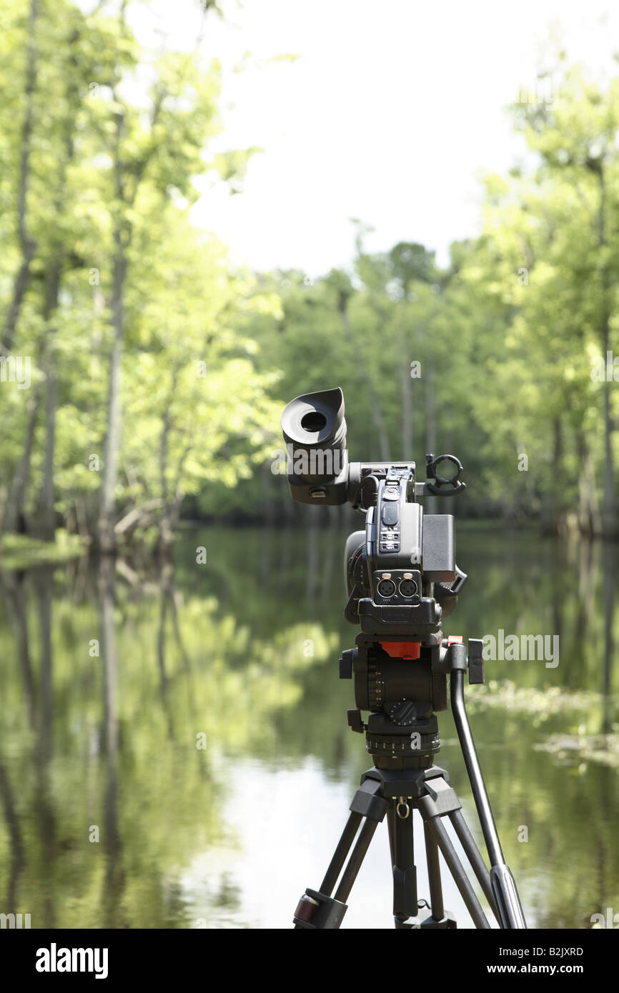 HD video camera filming swamp scene Stock Photo - Alamy