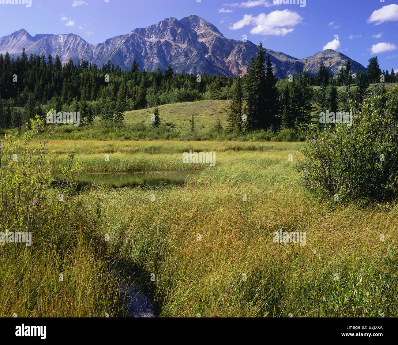geography / travel, Canada, Alberta, landscapes, Jasper National Park ...
