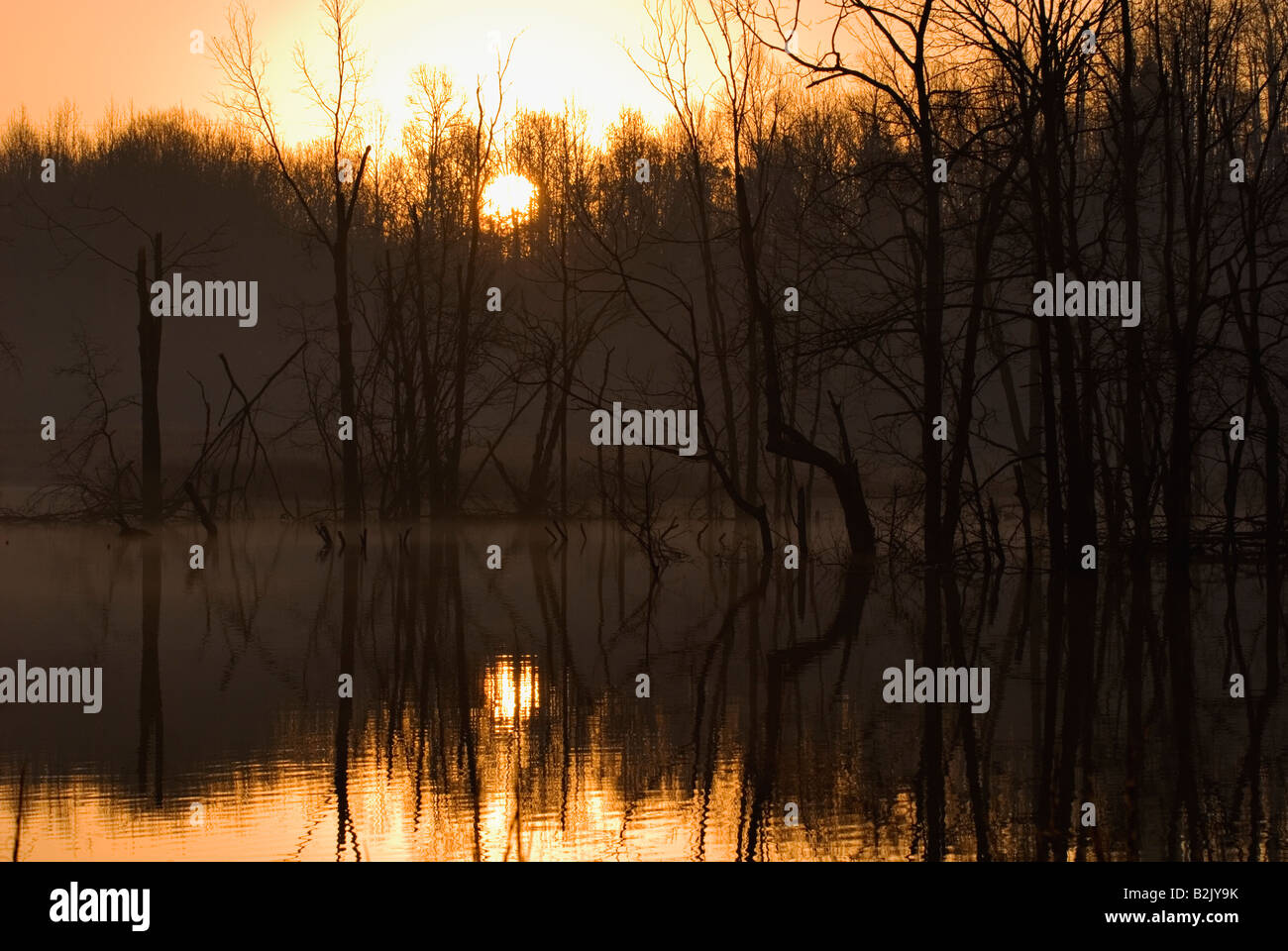 Sunrise Over Southern Pond Webster County Kentucky Stock Photo - Alamy